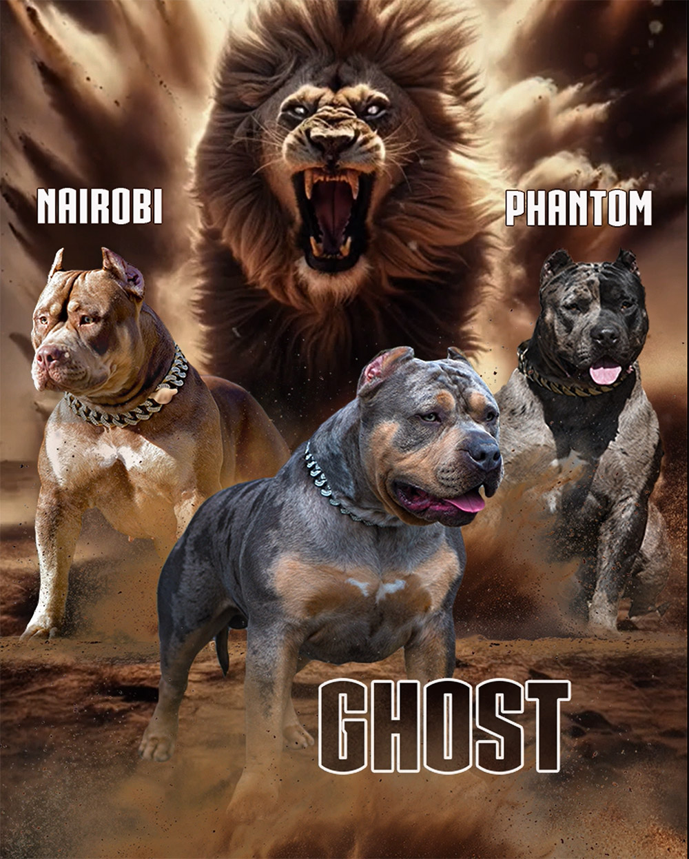 Our Dogs – XL and XXL American bully puppies for sale